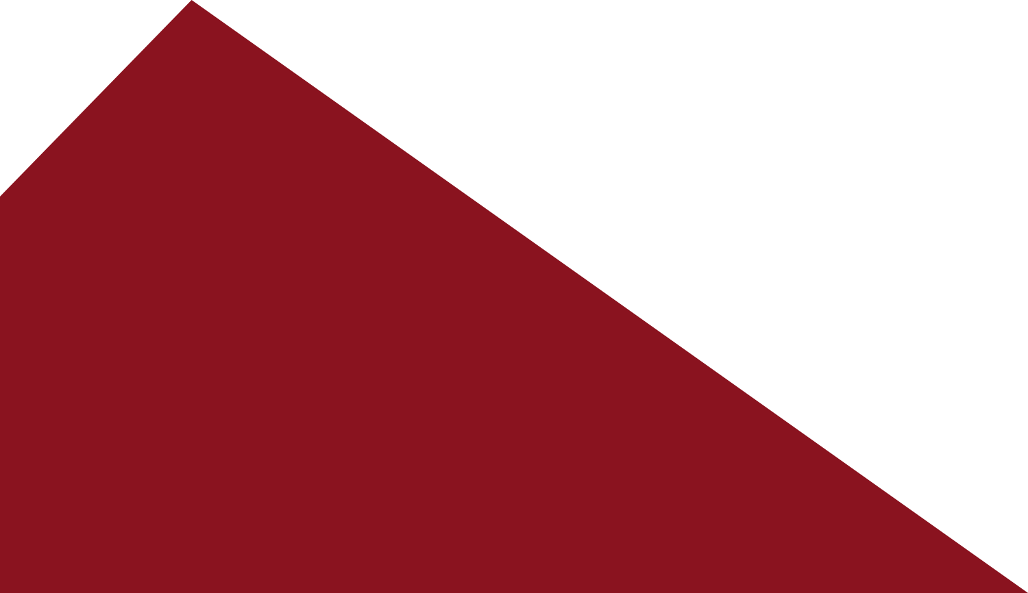 Metal Anode Based MCP Detectors - Surface Concept GmbH - Mainz